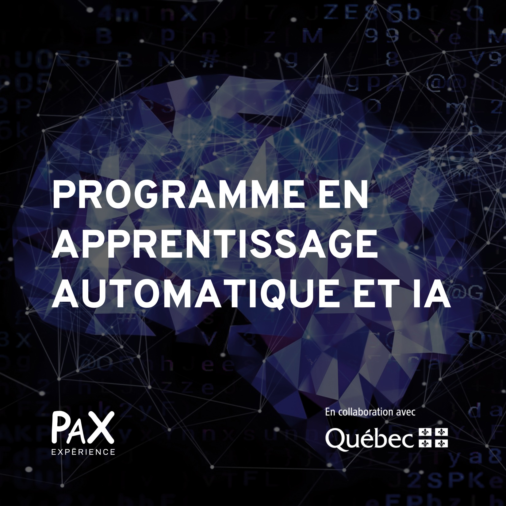 Programme en apprentissage automatique et IA | Académie de la ...